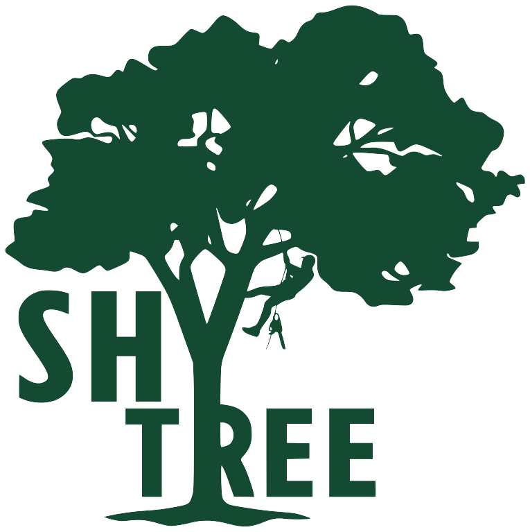 Tree Company in Baltimore, MD | Shy Tree Arborist Experts